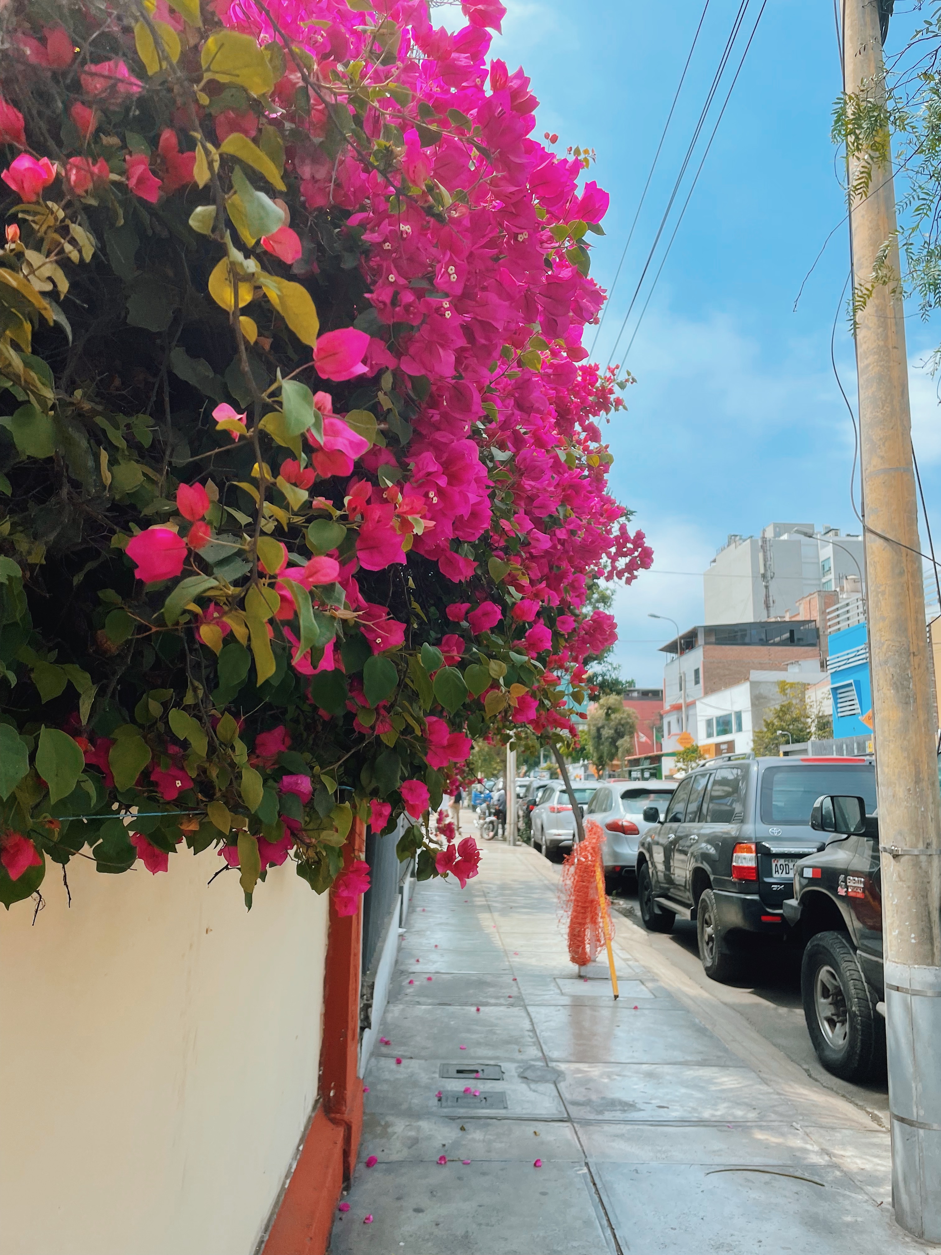 Fun Things to do in Beautiful Lima, Peru