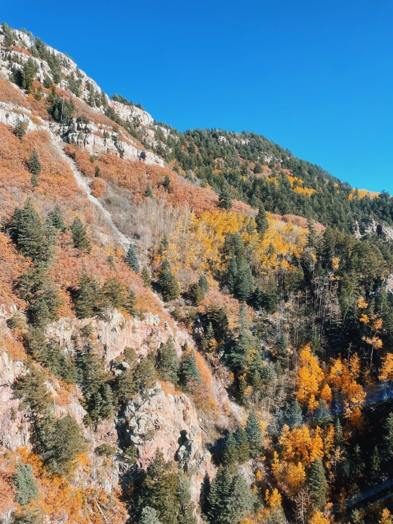 Unique Experiences You Can't Miss When Visiting Albuquerque