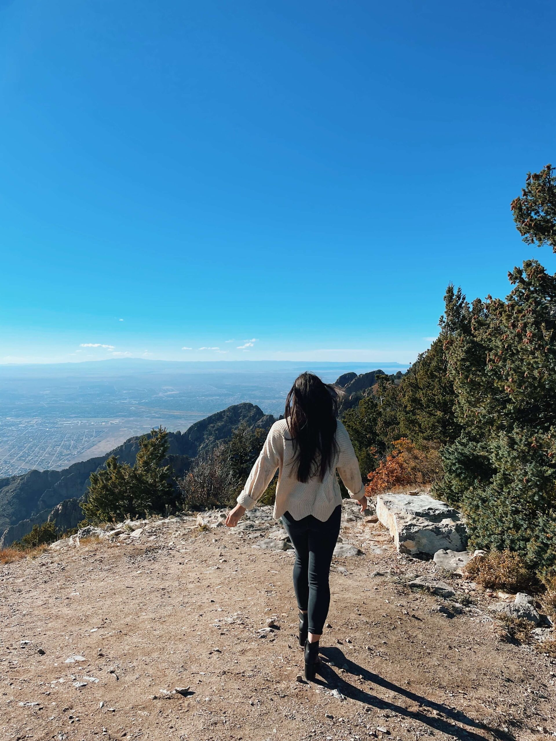 Unique Experiences You Can't Miss When Visiting Albuquerque